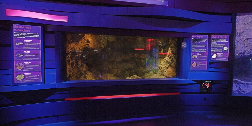 The Deep Hull | LED Lighting in the Twilight Zone